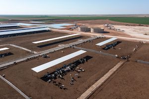 From Farm to Fuel: Dairy's Role in Supplying Renewable Natural Gas ...