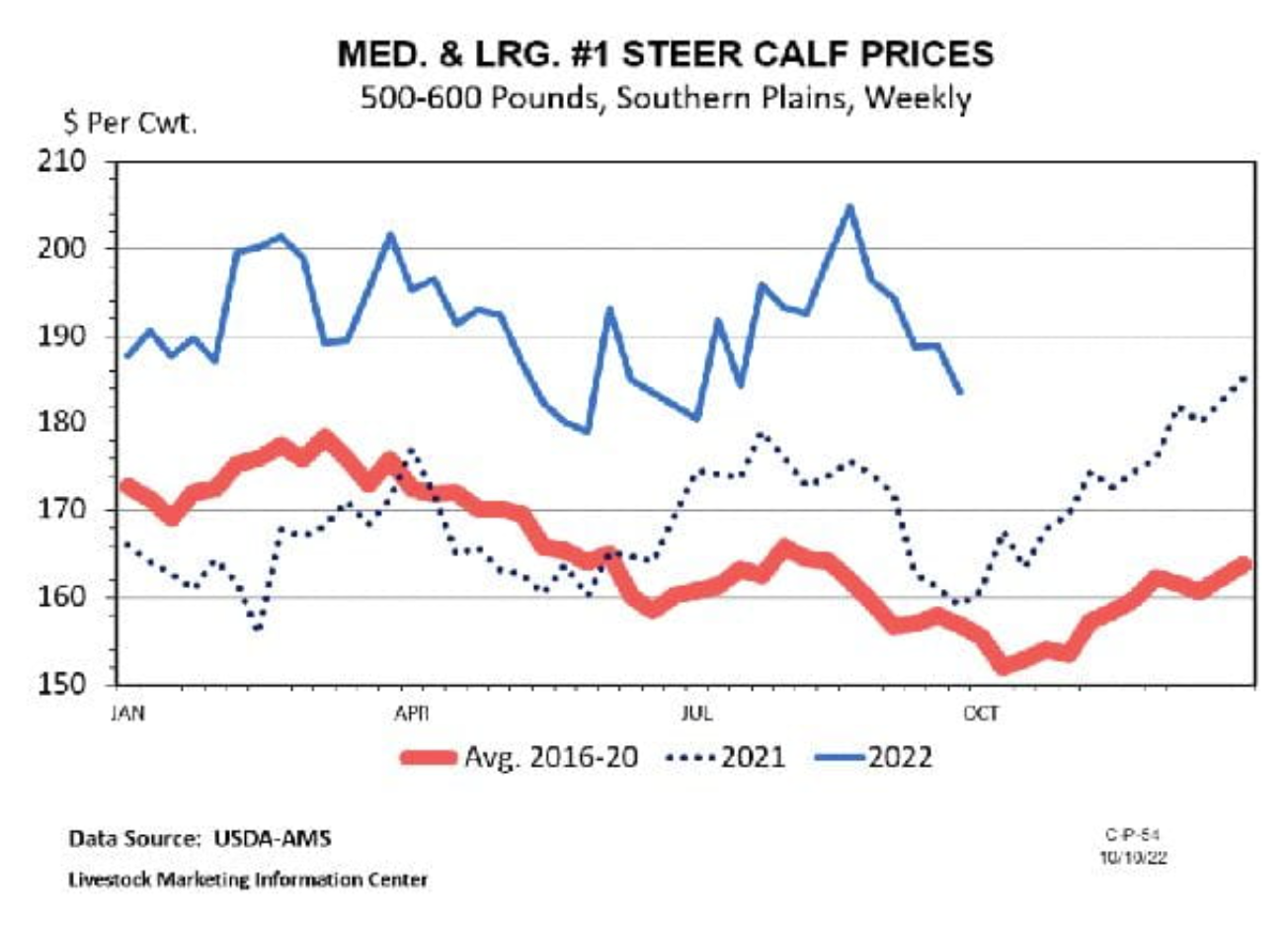 Fall is a Key Culling Decision Time for Cow-Calf Operations | Drovers