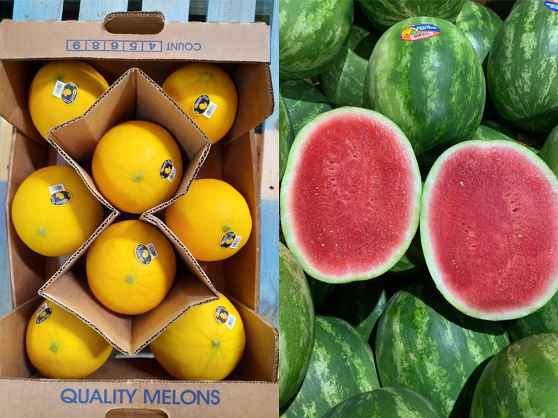 Good melon quality expected after late start | The Packer