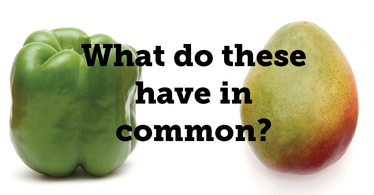 EXPLAINER: How are green peppers mangoes?