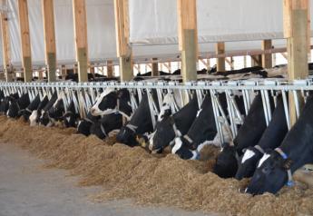 World Dairy Expo Unveils New Dairy Cattle Entry System | Dairy Herd