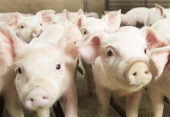 Commodity Markets Center | Pork Business