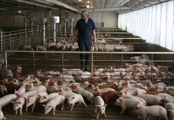 Pork Business