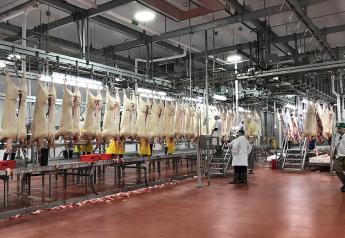 Pork Business
