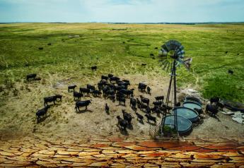 Rupert Murdoch Buys Sprawling Montana Ranch From Koch Industries | Drovers