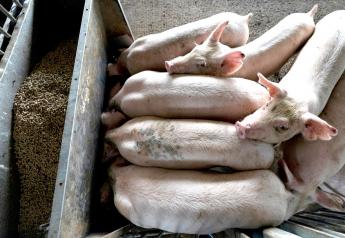 Commodity Markets Center | Pork Business
