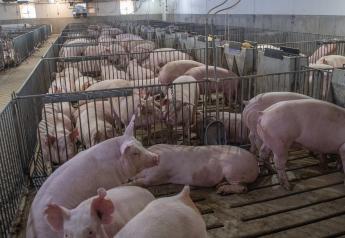 Commodity Markets Center | Pork Business