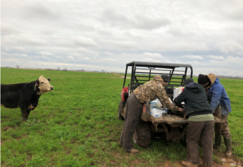 Rupert Murdoch Buys Sprawling Montana Ranch From Koch Industries | Drovers