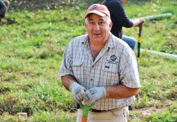 Should You Be Planting BMR Corn? | Dairy Herd