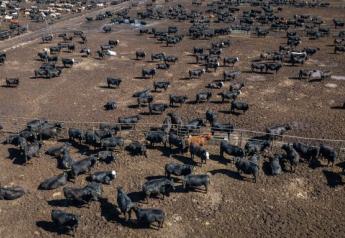 Derrell Peel - Oklahoma State University | Drovers