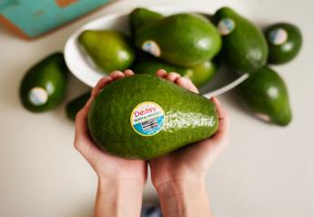 Bako Sweet features redesigned packaging | The Packer