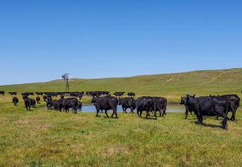 Derrell Peel - Oklahoma State University | Drovers