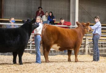 From Zero to 950 Cows in a Decade: Neu-Hope Dairy Shares Their Drive to ...