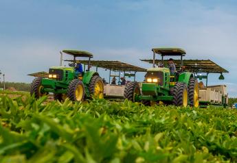 Walmart acquires robotic grocery automation tech company, Alert Innovation | The Packer