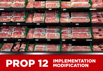 Hog Prices-Markets | Pork Business