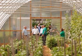 Giro Pack launching cellulose mesh bag | The Packer