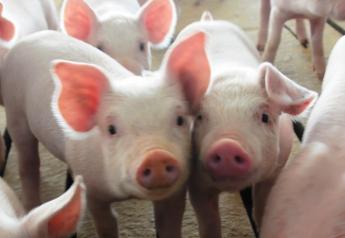 Commodity Markets Center | Pork Business