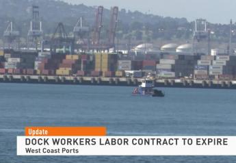 Tyne Morgan | The Scoop