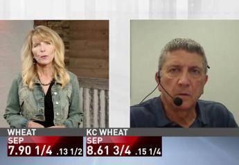 Tyne Morgan | Drovers