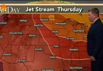 Tyne Morgan | The Scoop