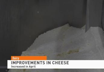 Milk Prices | Dairy Herd