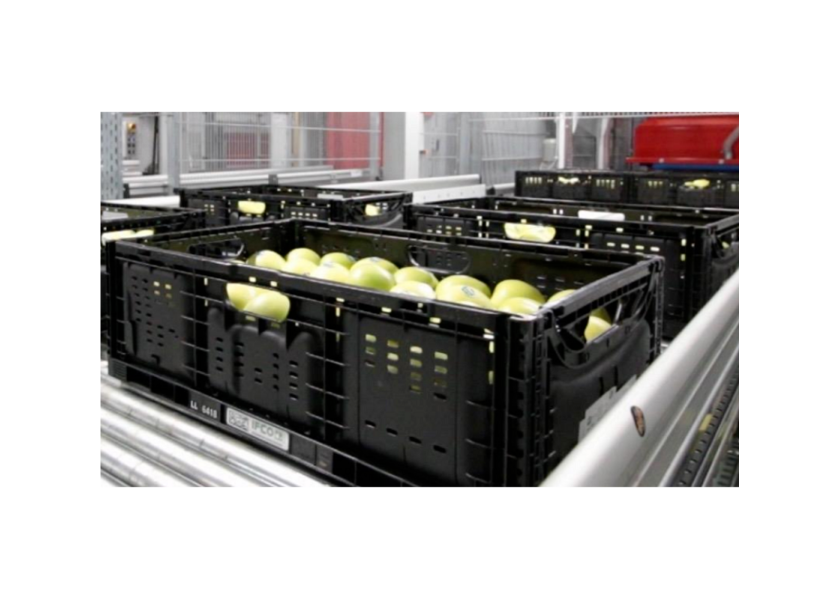 IFCO releases sustainability reports | The Packer