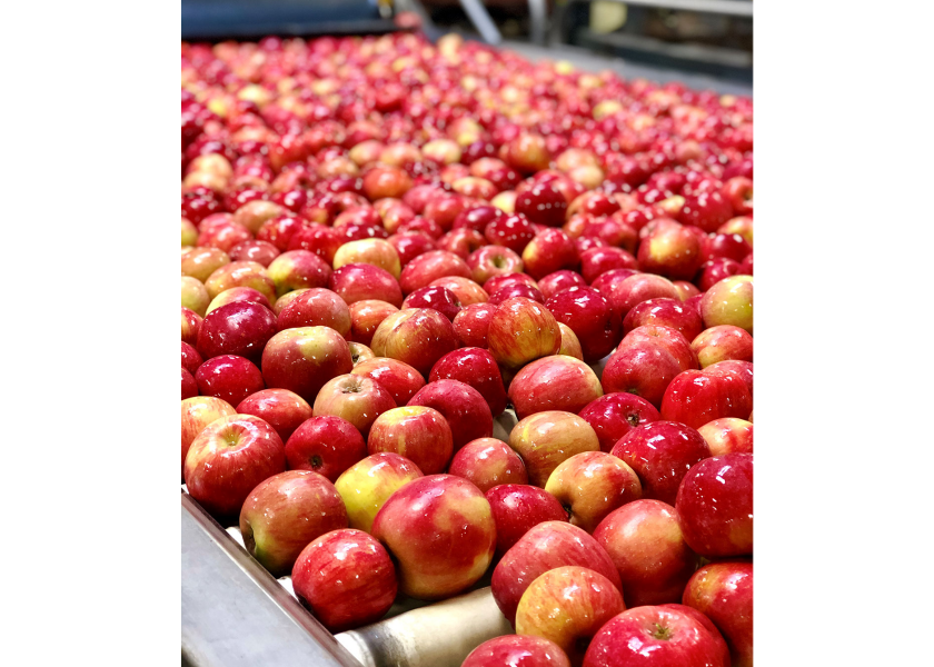 Washington Apple Commission to highlight Cosmic Crisp in export markets ...