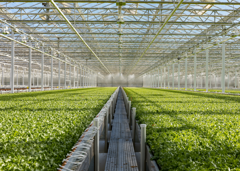 Little Leaf Farms raises $300 Million in capital | The Packer