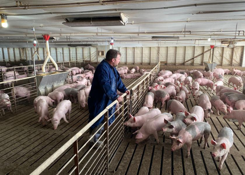 Animal Welfare: Training, Tools and Tracking | Pork Business