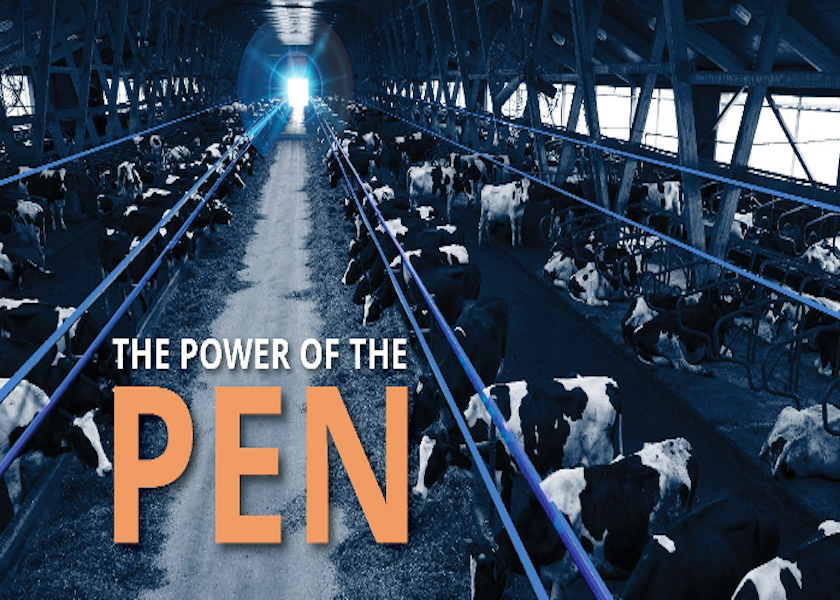 Focus on the Pen, Not Individual Cows, to Deliver Profits | Dairy Herd