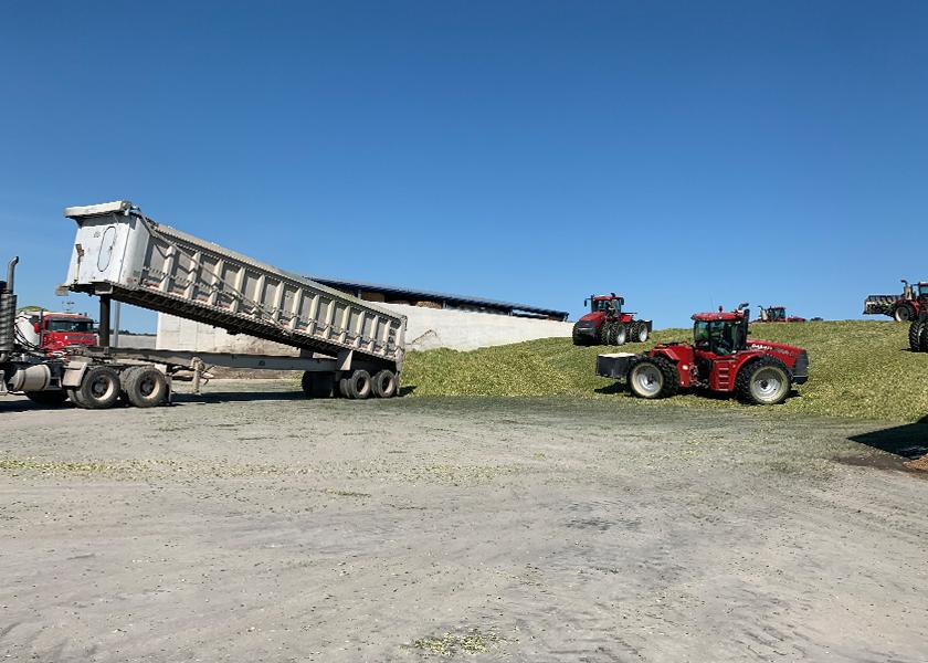 Facility Focus: Summer Silage Storage and Bunk Management | Dairy Herd
