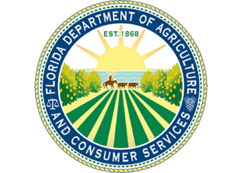 Commissioner Nikki Fried announces 2021 Woman of the Year in ...