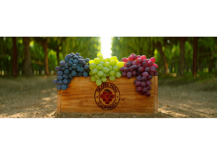 Promotable California table grape volume continues through December ...