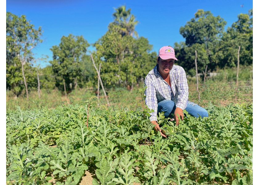 Jacobs Farm del Cabo advances ClimateLab Initiative | The Packer