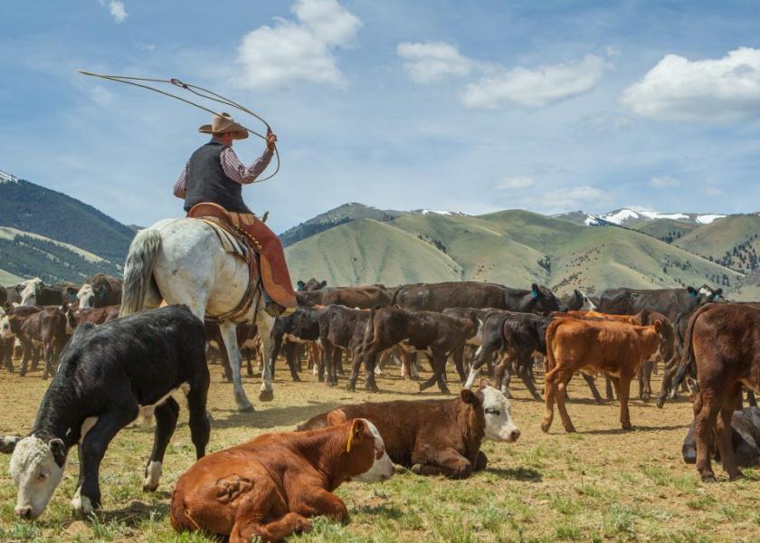 Rupert Murdoch Buys Sprawling Montana Ranch From Koch Industries | Drovers