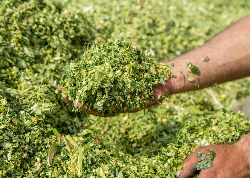 When is the Time Right to Harvest Corn Silage? | Dairy Herd
