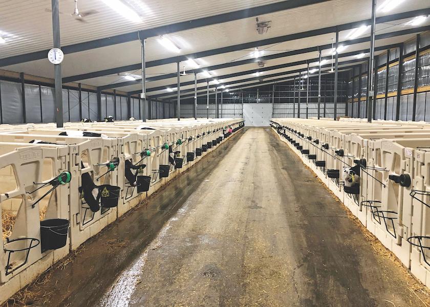 How Efficient, Well-Designed Facilities Improve Calf Care | Dairy Herd