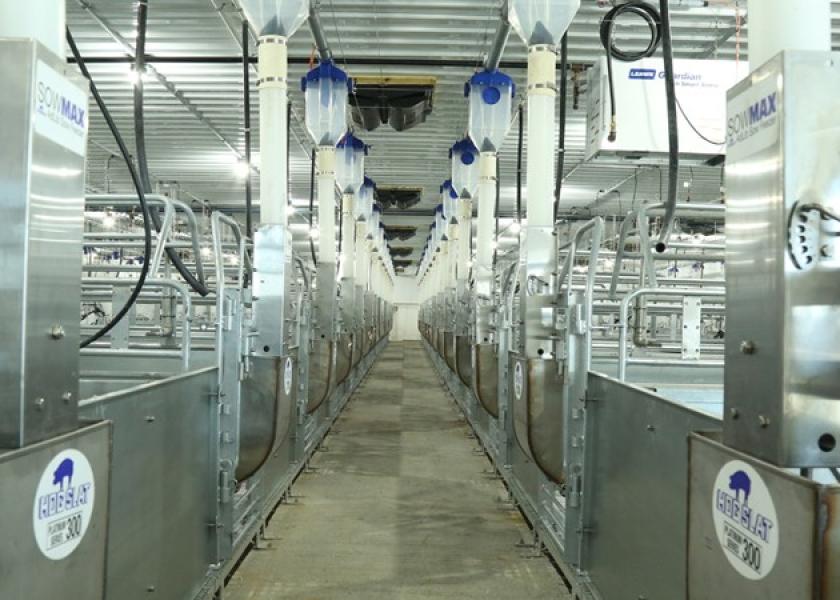 Labor-Friendly Automated Sow Feeding | Pork Business