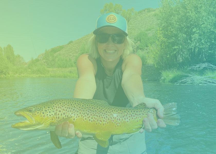Packer Fresh Take: Amanda Griffin of North American Blueberry Council ...