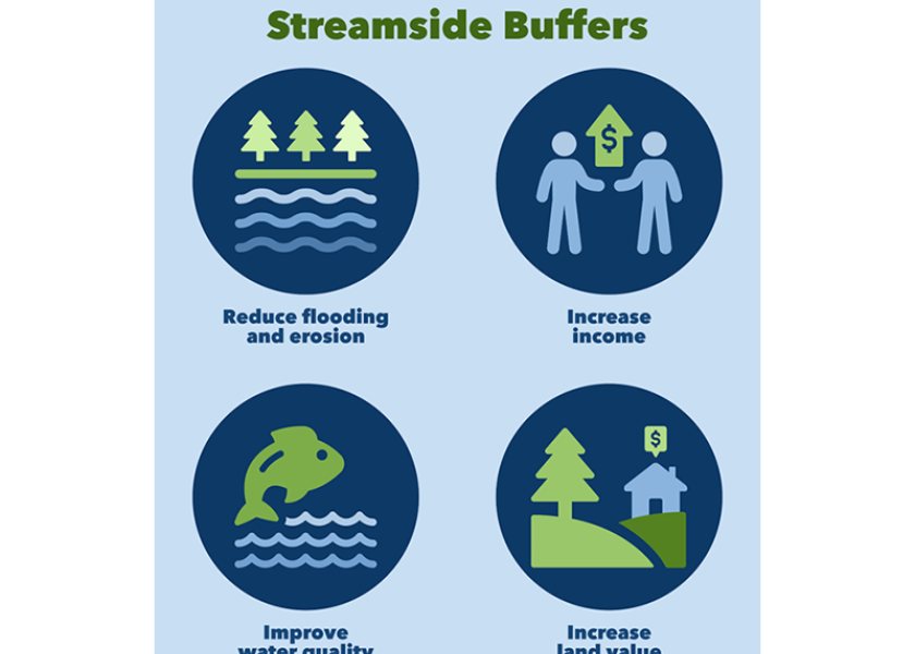 3 Steps to Planting a Tree Buffer | AgWeb