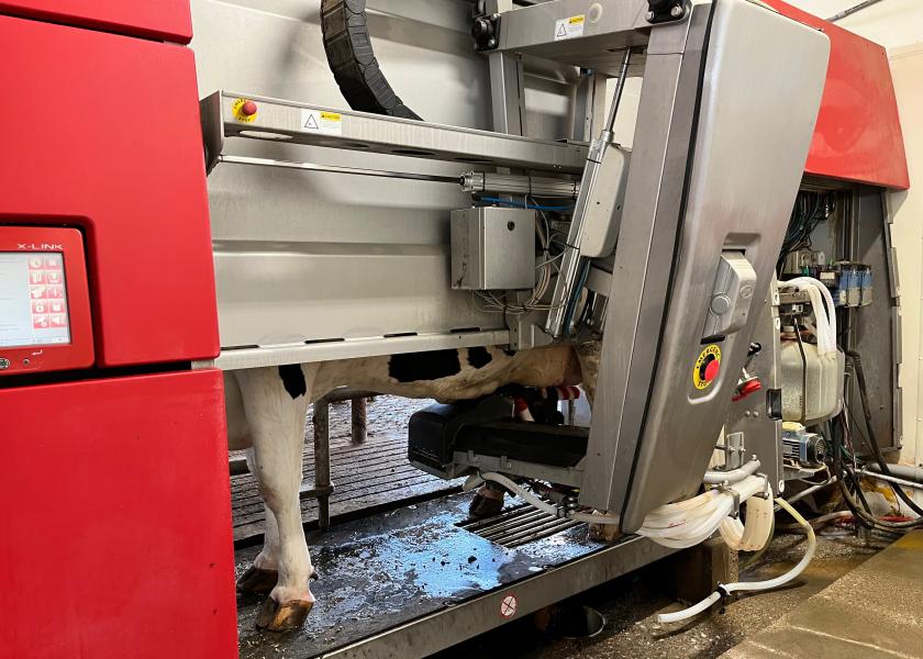 Breeding the Right Cow for Robots | Dairy Herd