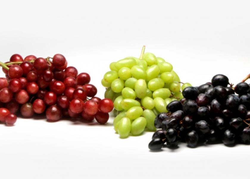 Hazel Tech teams with Divine Flavor to protect table grape quality ...