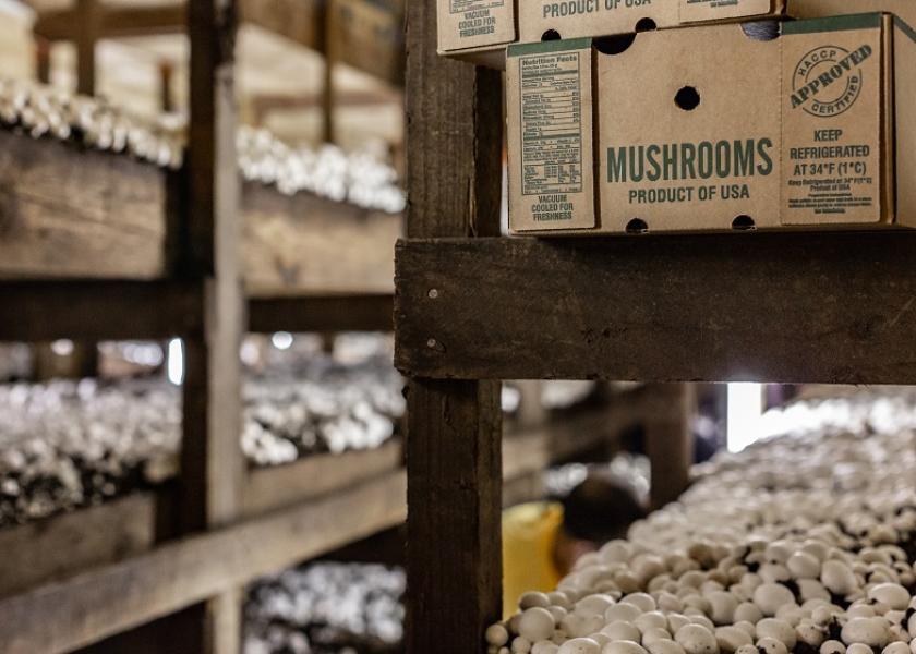 American Mushroom Institute: Data shows mushrooms offer consumers value ...