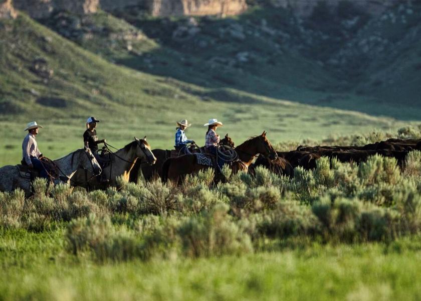 Panhandle Ranch, Environmental Technology Co. Plan New 'Sustainable ...