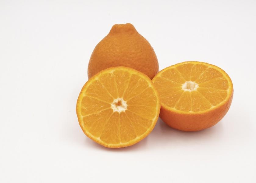 Research looks for variety, rootstock resistance to HLB, citrus canker ...