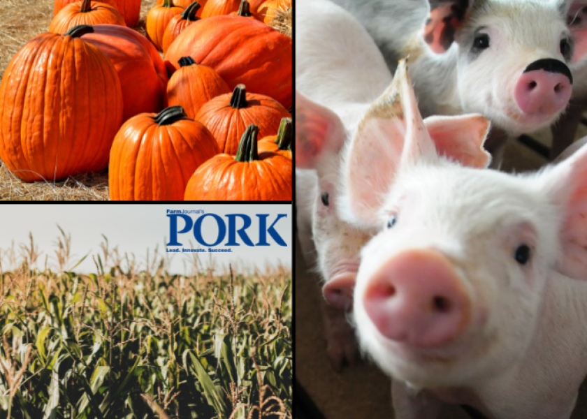 What Are Your Fall Favorites? Pumpkins, Harvest and PORKtober | Pork ...