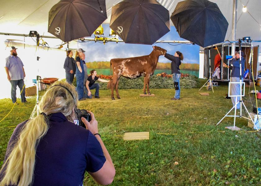 Behind the Lens with Cybil Fisher | Dairy Herd