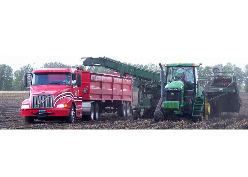 Red River Valley potato yields up, quality very good | The Packer