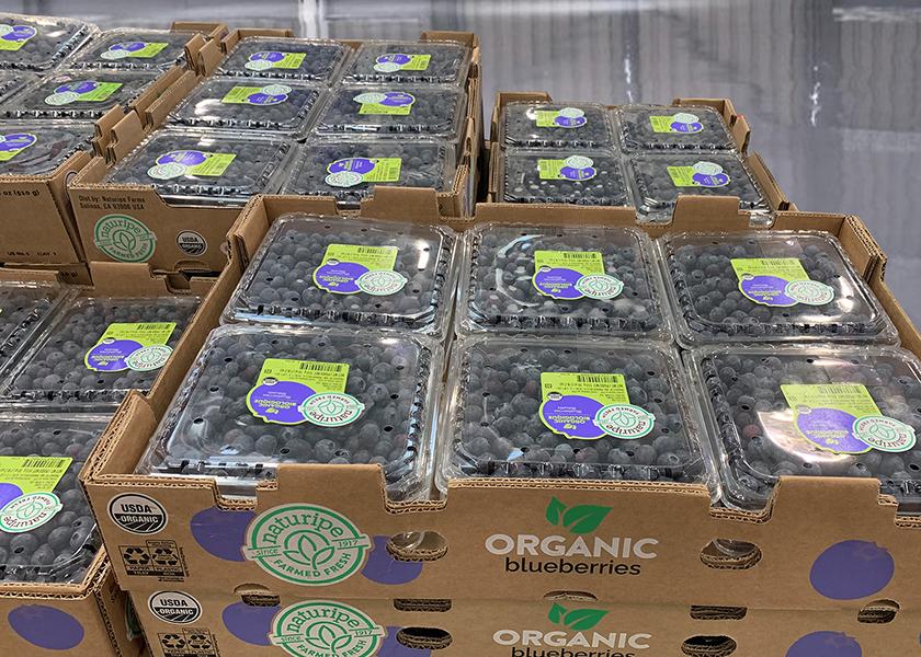 Naturipe begins Chilean blueberry season with high expectations | The ...