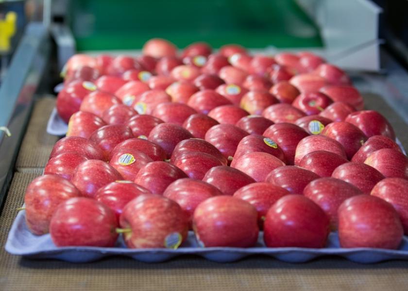 Stemilt Growers sees an increase in organic Cosmic Crisp volume | The ...